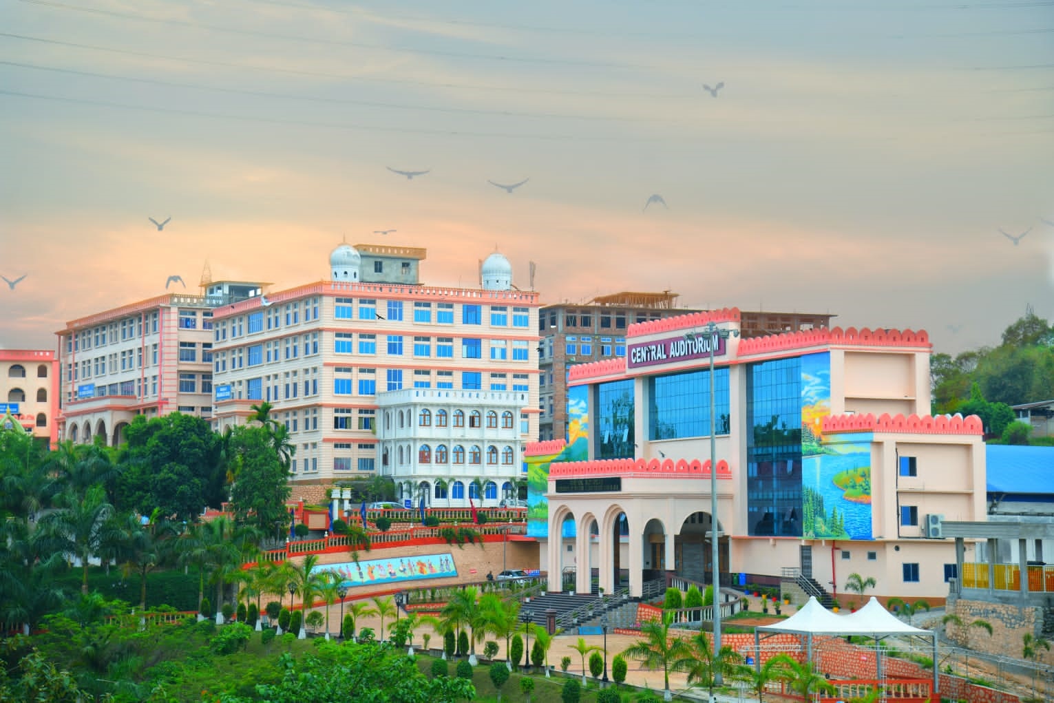 Institutions Established - Mahbubul Hoque